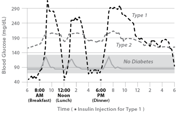 diabtes bg graph | Thin Diabetes, Fat Diabetes